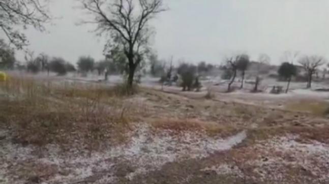 Agra farmers distressed after heavy rains, hailstorm destroy crops ...