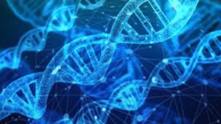 Knowing genetic information can change a person's physiology: Study ...