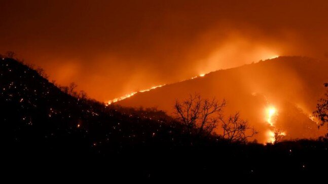 Forest fire breaks out near Mudumalai Tiger Reserve in Tamil Nadu ...