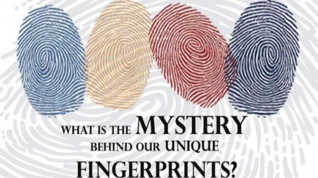 What is the mystery behind our unique fingerprints? - Education Today News