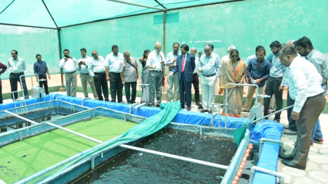 NIRDPR promotes Intensive Fish Culture Cages to help double the income ...