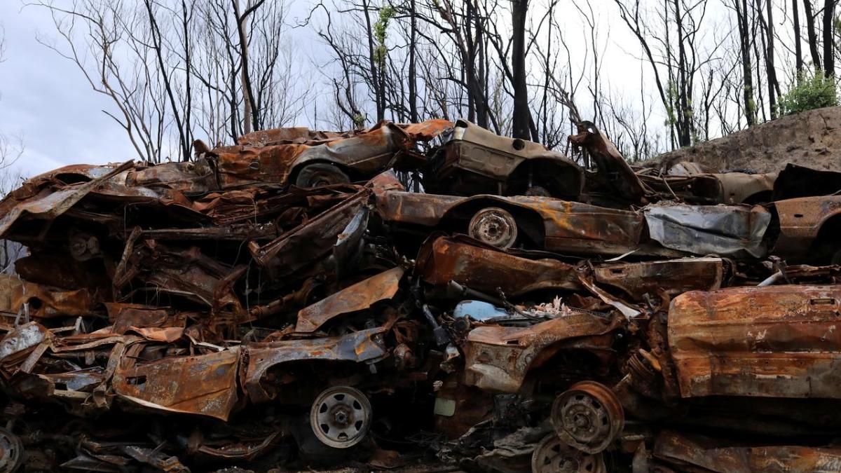 Australia begins wide-ranging enquiry into deadly bushfires