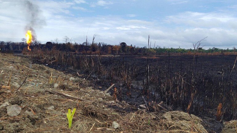 Baghjan oil field fire: Assam CM directs to assess damages | NE Post