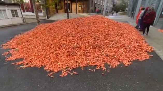 29 tonnes of carrots were left discarded on London street - India Today