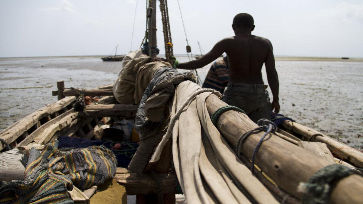 9 people stranded at sea rescued by police in Andhra Pradesh's Nellore ...