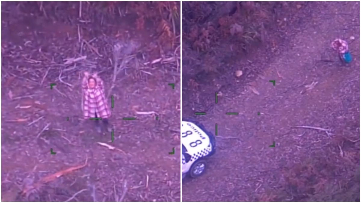 Australian woman stranded for 5 days in forest survives on wine and ...