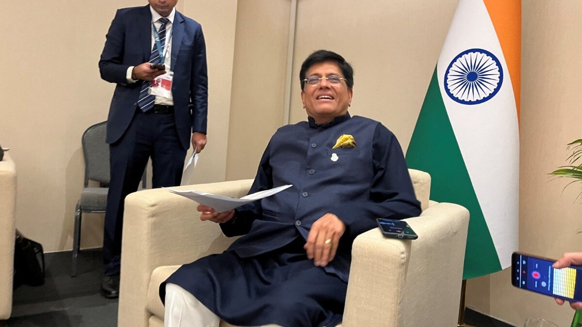 'We feel sad’: Piyush Goyal on countries obstructing outcomes at WTO ...