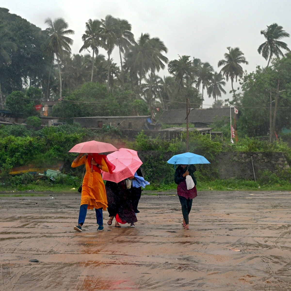 Rainy Day Pictures In Kerala Heavy Rainfall In Kerala, IMD Issues