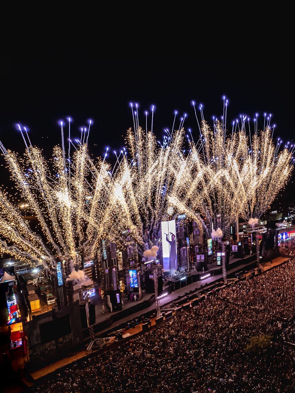 Sunburn festival store