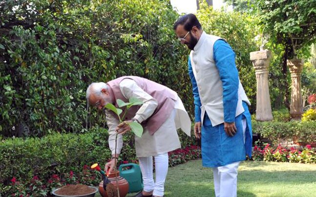 World Environment Day: Modi plants saplings | IndiaToday