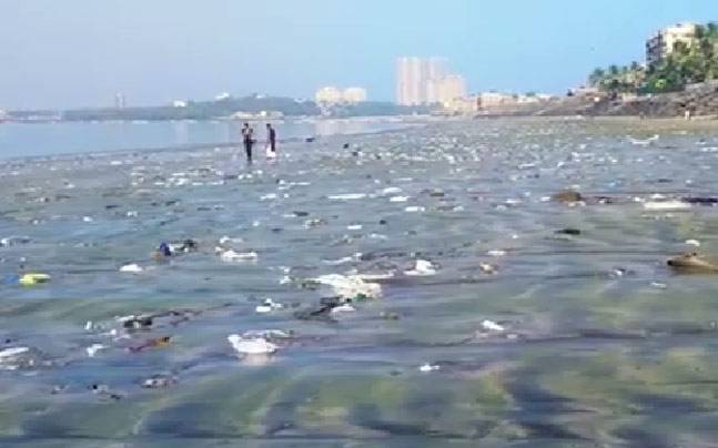 Mumbai's Versova beach sparkles after clean-up drive | IndiaToday