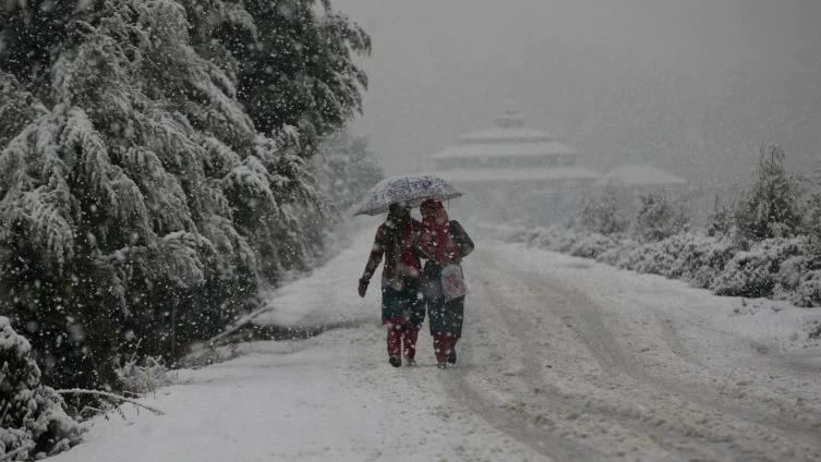 Scientists just discovered a brand new shape 'scutoid' from human cells ...