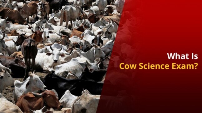Cow Science Exam: All You Need To Know | IndiaToday