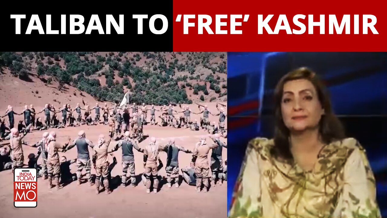 Neelam Irshad Sheikh Says Taliban Will Help Pakistan Free Kashmir From ...