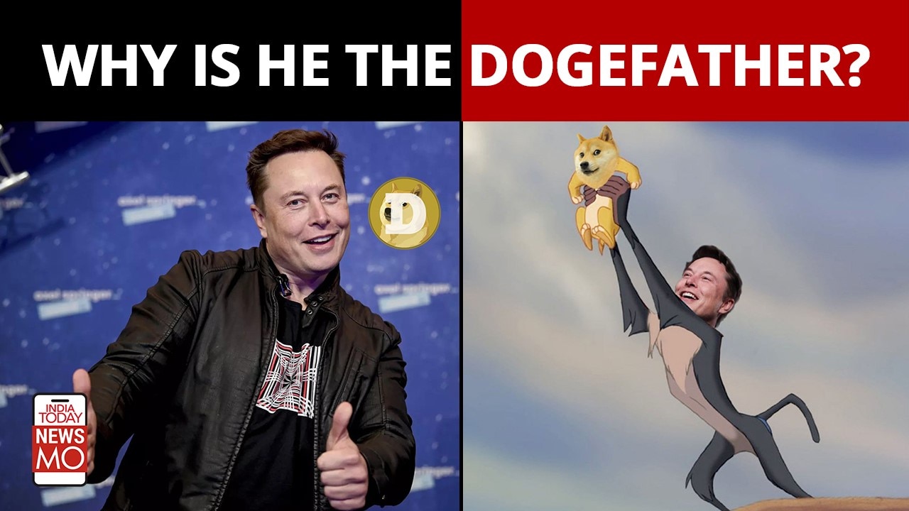 Elon Musk's Doge Tweet sends Dogecoin soaring | Musk Effect - India Today