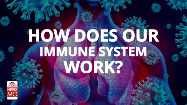 How does our immune system work? | IndiaToday