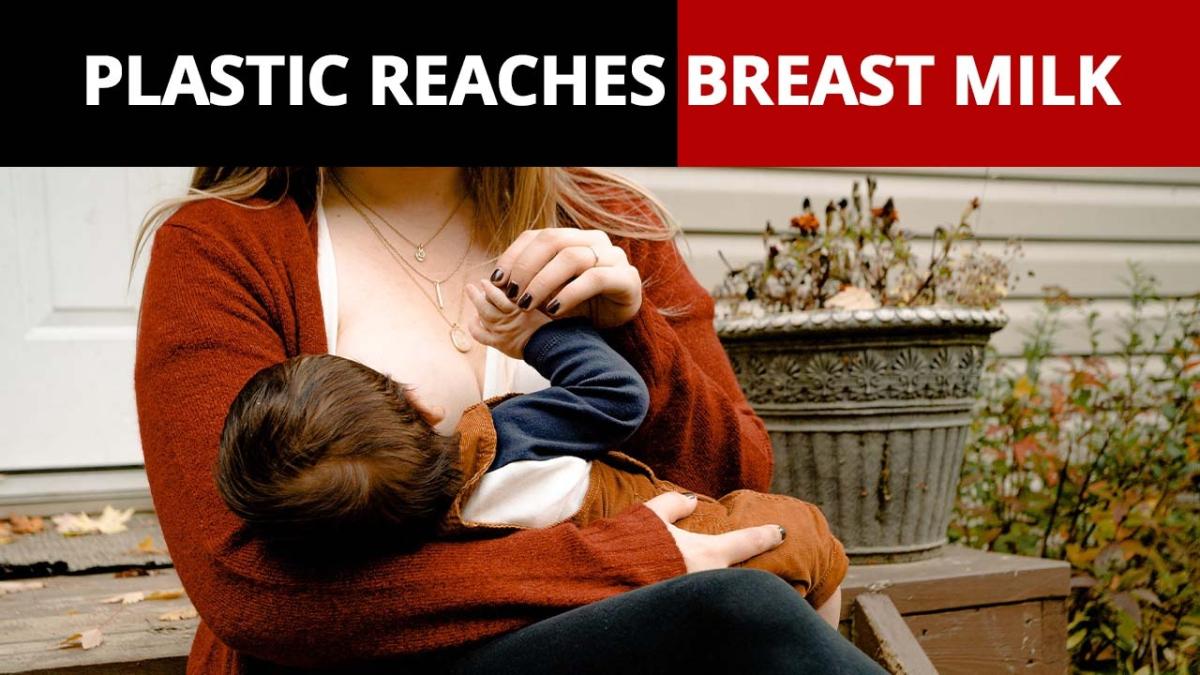 Microplastics in breast milk; How will it impact pregnant mothers and ...
