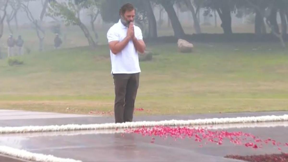 As Delhi shivers, Rahul Gandhi dons t-shirt as he visits memorials of ...