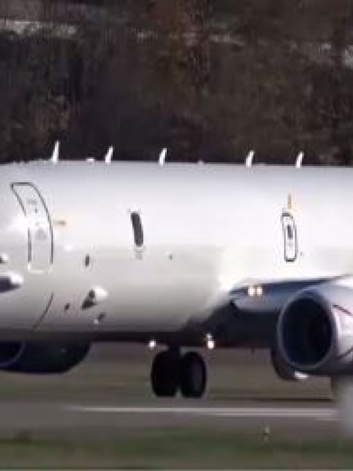 United States of Kailasa: Nithyananda's nation gets a United Nations ...