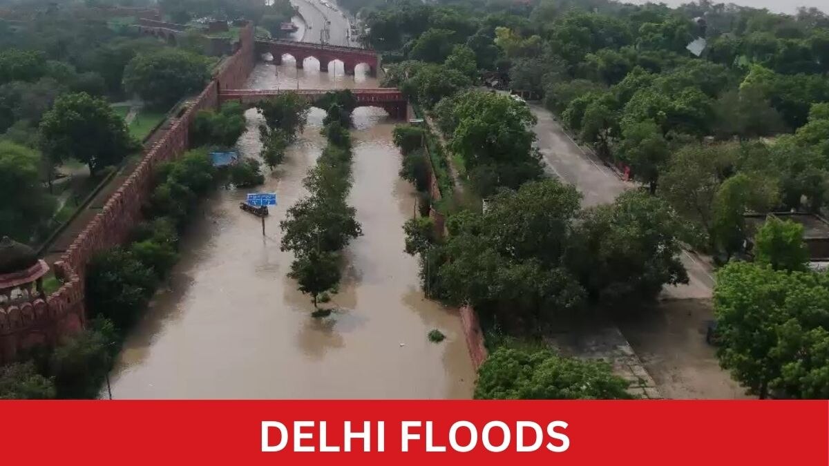 Aerial view shows floods batter Delhi streets, Yamuna's water level ...