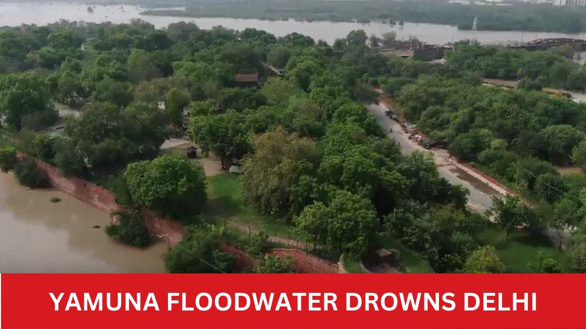 Delhi: Water level recedes, but city remains waterlogged; ITO, Rajghat, Yamuna Bazaar submerged ...