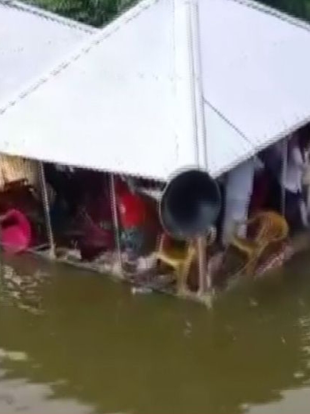 Sushen Gupta: The Man Behind the 7.5 Million Euros Scam of Dassault ...