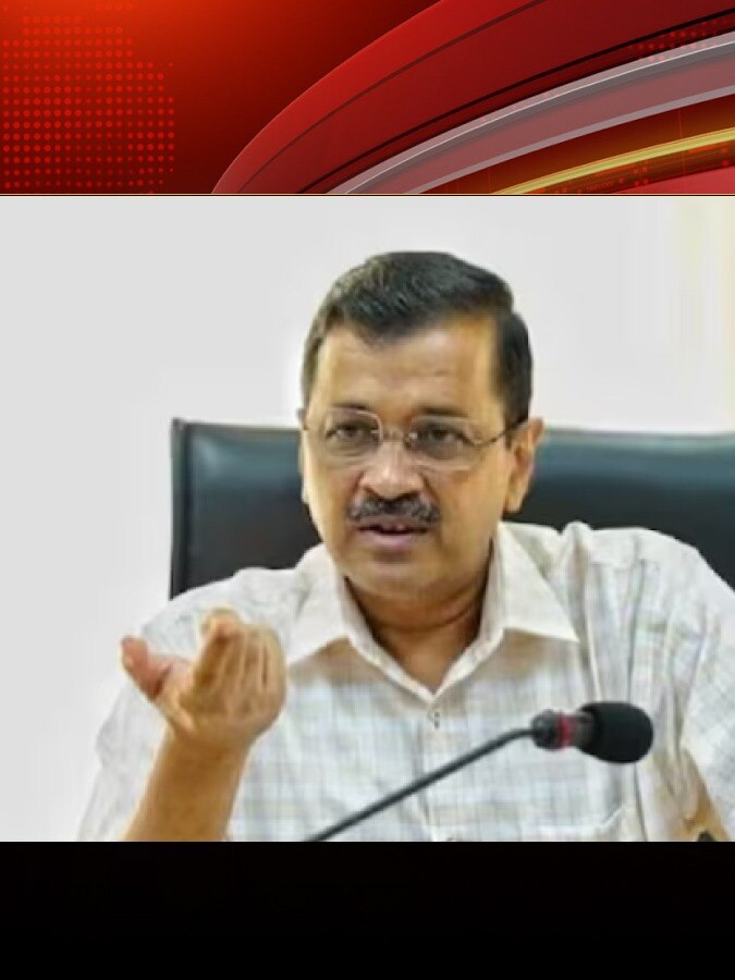 Odisha's 'Kai Chutney' made from red weaver ants gets GI tag, ever ...