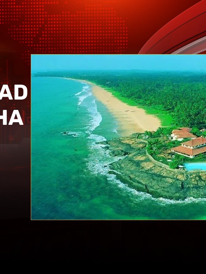 Odisha's 'Kai Chutney' made from red weaver ants gets GI tag, ever ...