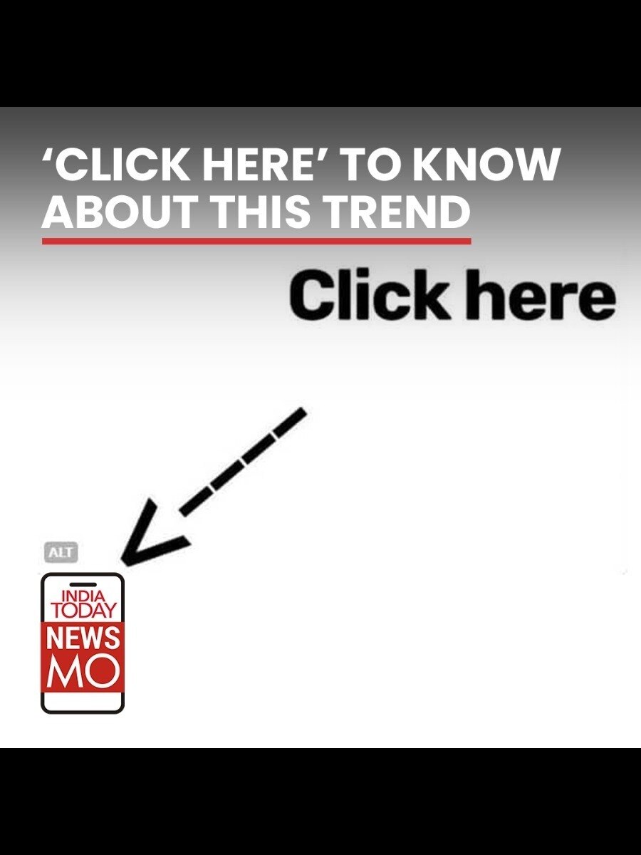 Odisha's 'Kai Chutney' made from red weaver ants gets GI tag, ever ...