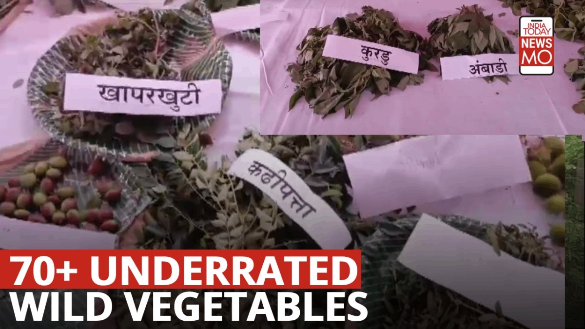 Over 70 underrated vegetables displayed in Gadchiroli's wild vegetable ...