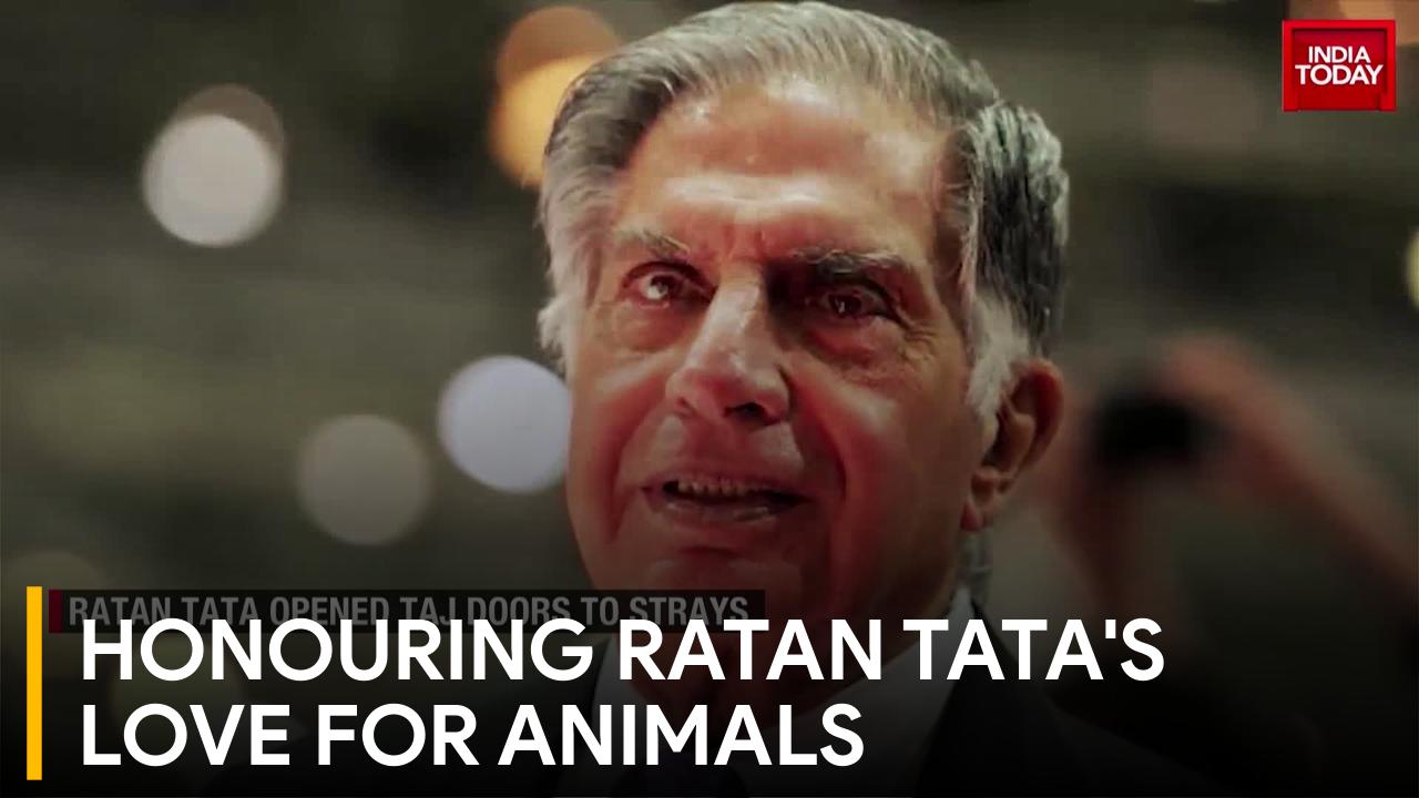 Honouring Ratan Tata's Love for Animals - India Today