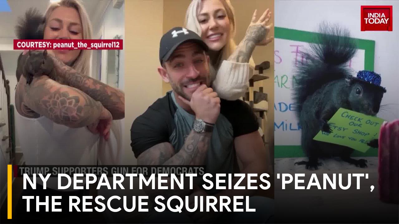 NY Department seizes 'Peanut', the rescue squirrel - India Today