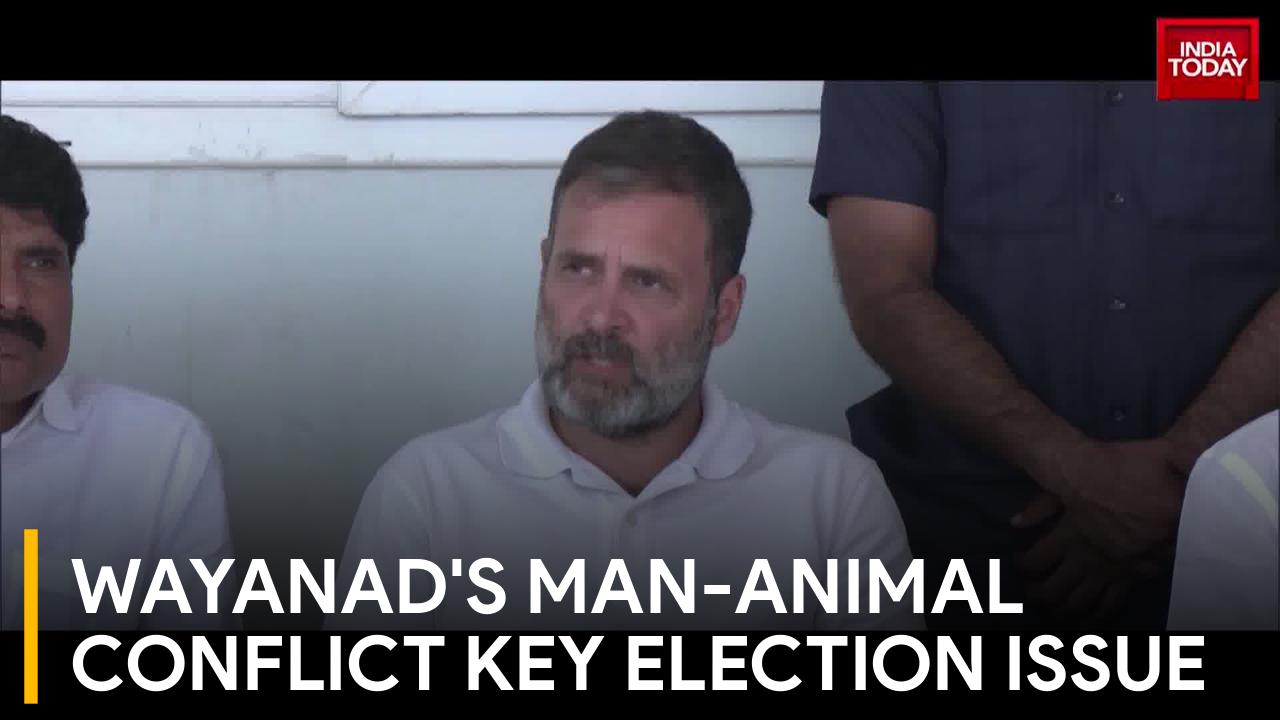 Wayanad's Man-Animal Conflict Key Election Issue - India Today