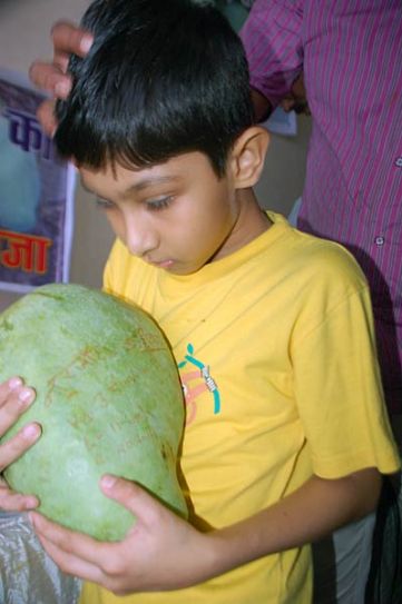 Mango festival celebrated in Bhopal | IndiaToday