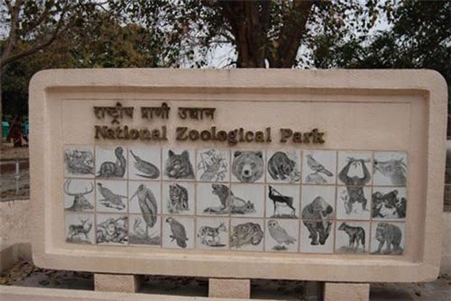 9 facts that you must know about Delhi's National Zoological Park ...