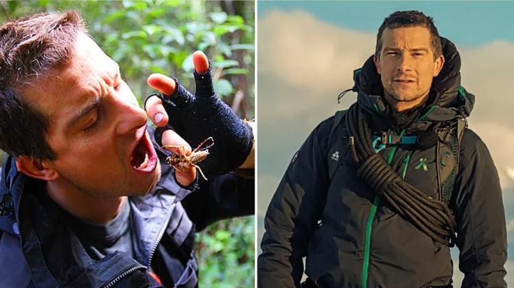 Bear Grylls Diet Plan শোয়ে পোকামাকড় খেয়েও দুরন্ত স্ফূর্তি বিয়ার গ্রিলসের বাড়ির ডায়েট