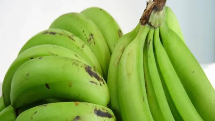 Kacha Kela Benefits Kacha Kela Benefits