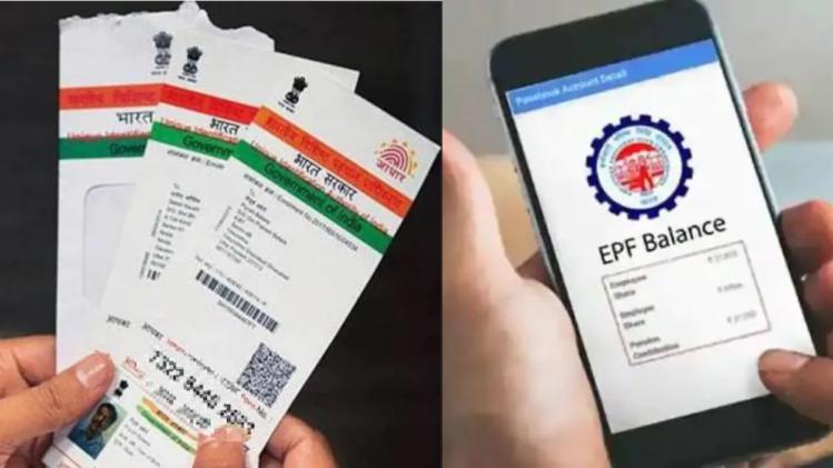 EPF Aadhaar: Aadhaar-PF লিঙ্ক বাড়িতে বসেই করার পদ্ধতি, একগুচ্ছ সুবিধা ...