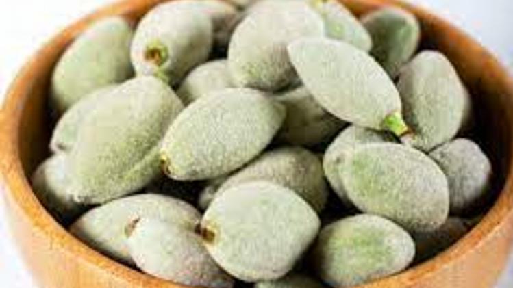 Green Almonds Benefits: কাঁচা না ভেজানো, কীভাবে কাঠবাদাম থেকে হার্ট ...