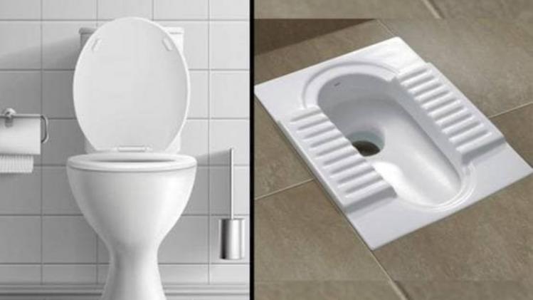 Indian Toilet vs Western Toilet: ওয়েস্টার্ন টয়লেট বাড়াচ্ছে ...