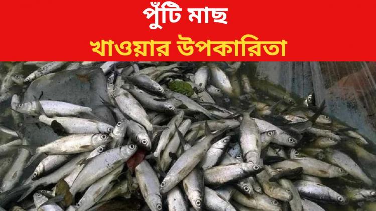 Health Benefits of Eating Puti Fish: হাড় মজবুত করে, হার্ট-চোখ ভাল রাখে ...