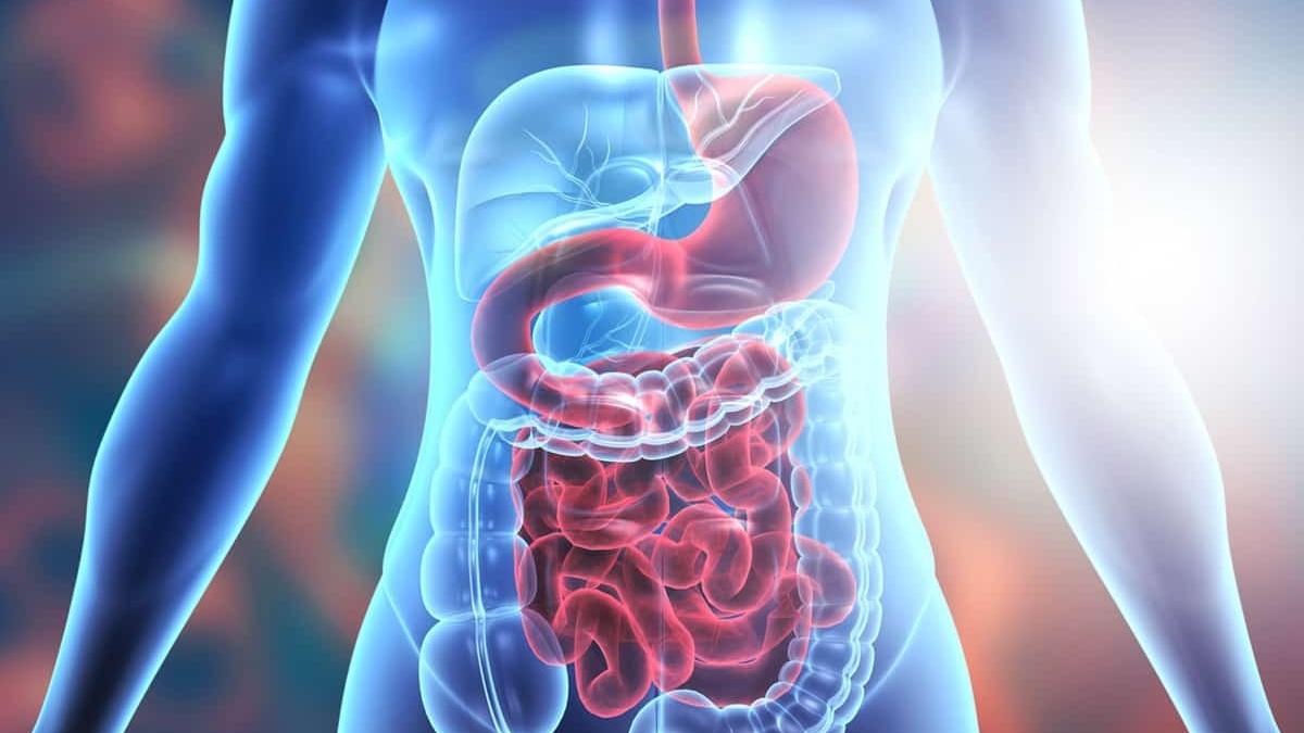 Remedies for Improving Digestion: সকালে ঘুম থেকে উঠেই করুন এই ৬ কাজ ...
