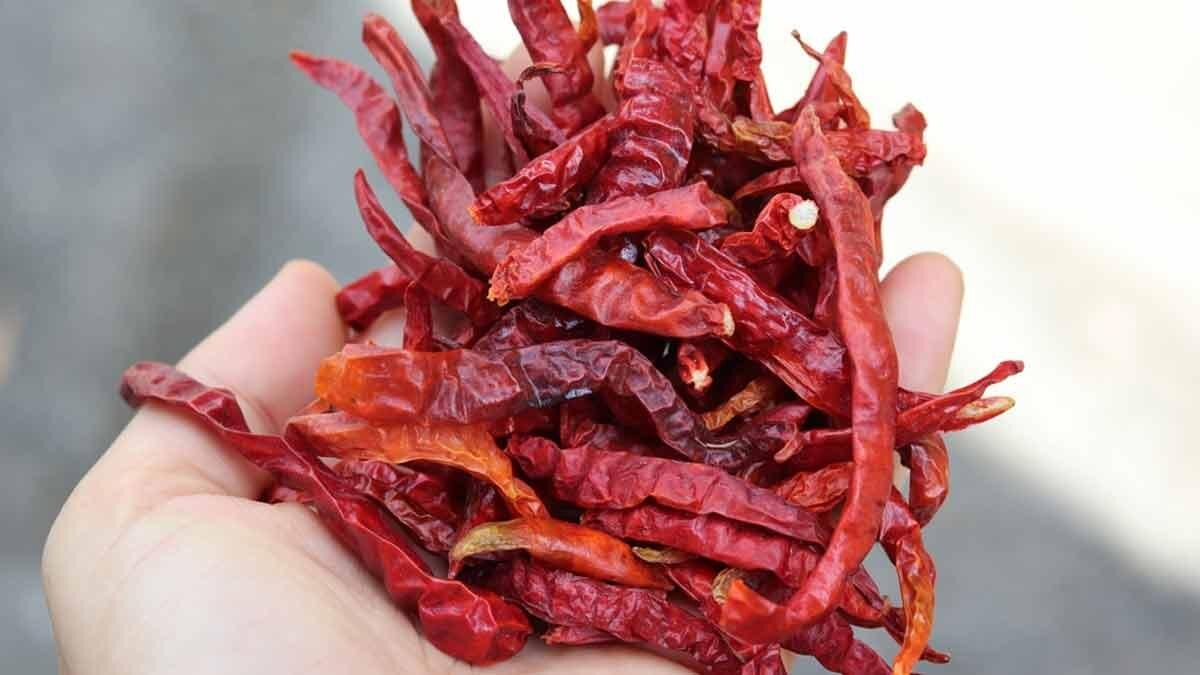 Red Chilli Astro Benefits: ঘুমিয়ে থাকা ভাগ্য জাগাতে পারে শুকনো লঙ্কা ...
