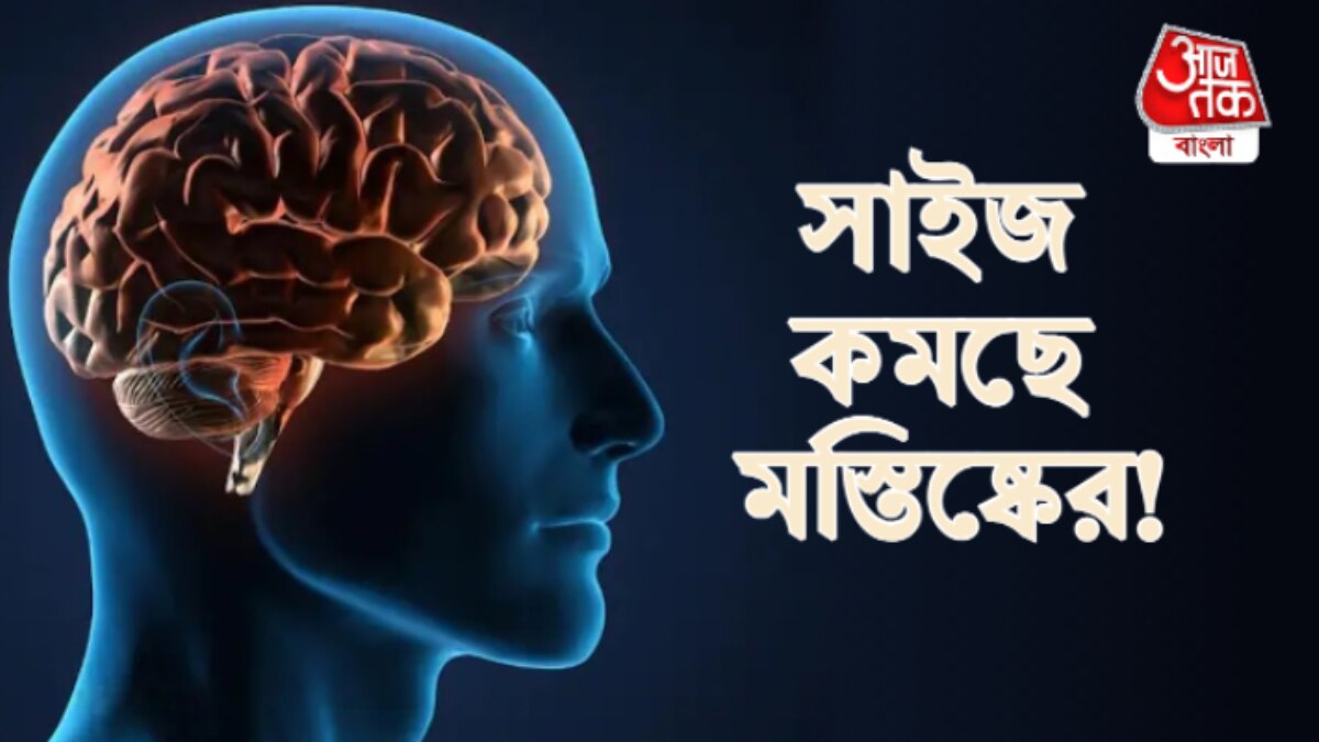 Human Brain : হু হু করে সাইজ কমছে মানুষের মস্তিষ্কের, যে কোনও দিন লোপ ...