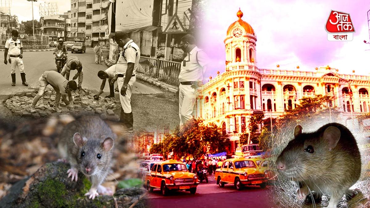 Kolkata Giant Rats: বড় বিপর্যয়ের আশঙ্কা? কলকাতার মাটি খুঁড়ে চলেছে ...
