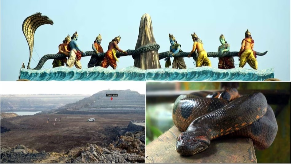Discovery Of Vasuki Naag: শিবের বাসুকি নাগের জীবাশ্ম মিলল গুজরাতের ...