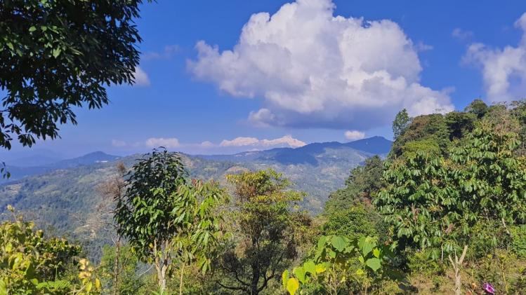 North Bengal Tourist Spot: পাহাড়ে জায়গা না পেলে এসব জায়গায় যেতে ...