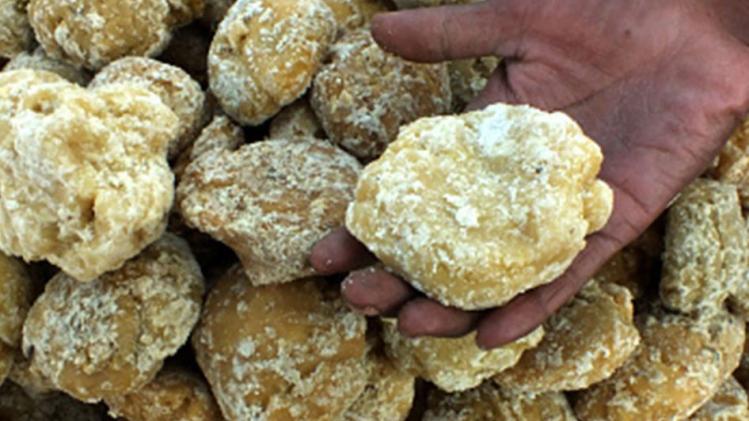 Gur Benefits: হজমে সাহায্য করে কোষ্ঠকাঠিন্য প্রতিরোধ করে গুড় ...