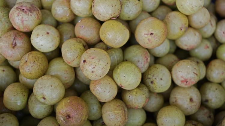 Dry Amla Benefits: আমলকি শুকনো করে খেলে কী বেশি উপকার? জানুন ...