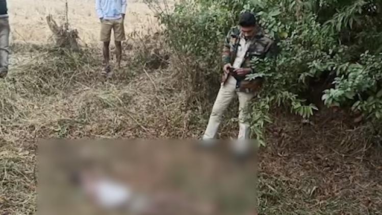Malda Murder: মালদার হবিবপুরে মাঠের মধ্যে দেহ, খুন, দাবি পরিবারের লোকের ...